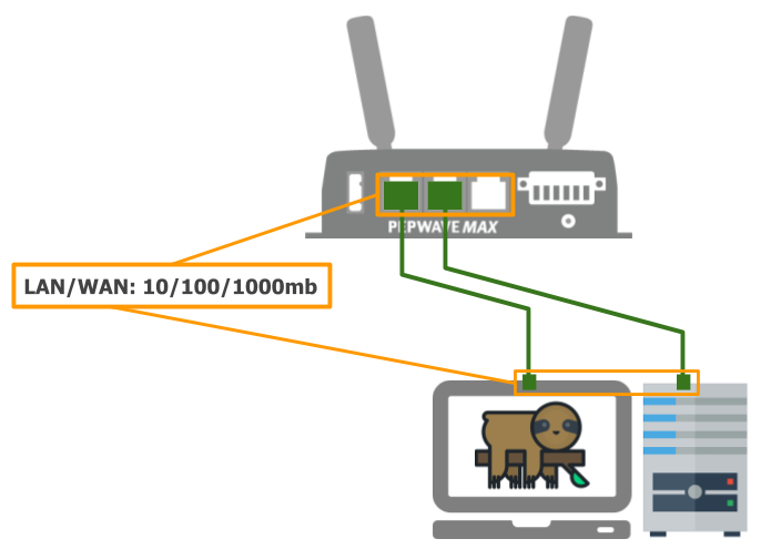 Port Speed Negotiation vs Router Throughput Rating - FAQs - Peplink ...